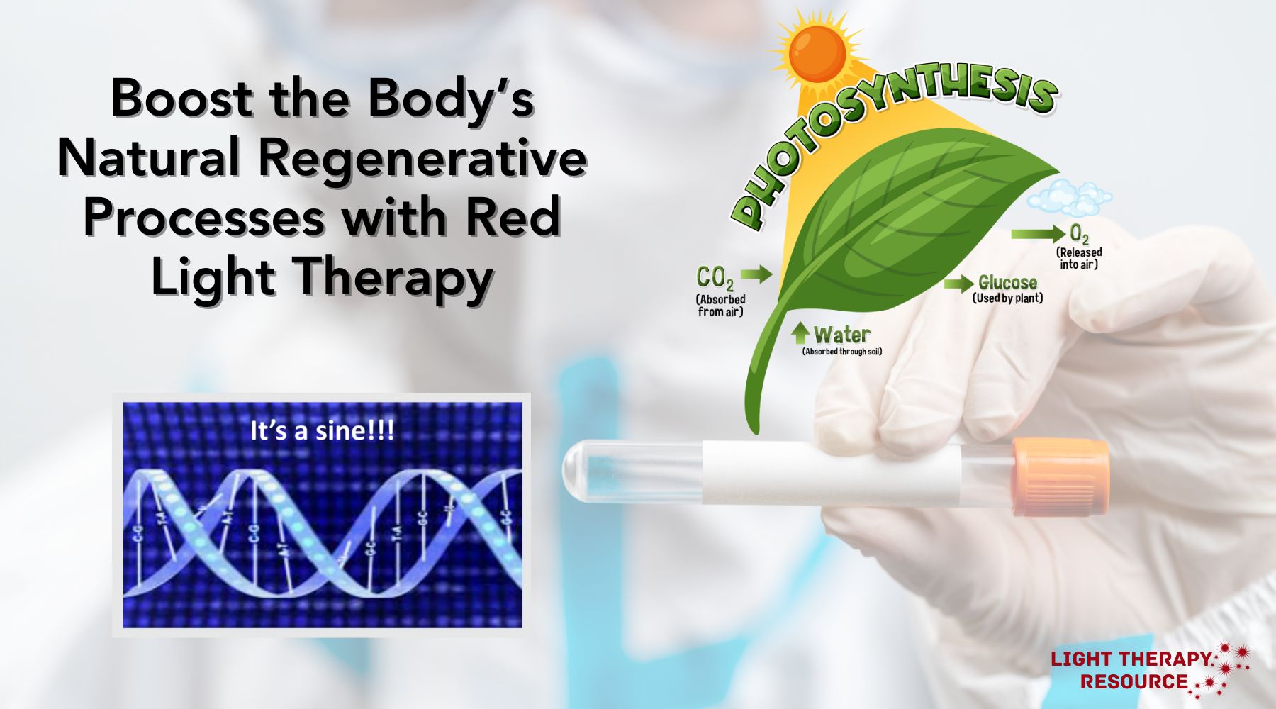 How and Why Does Red Light Therapy Work? – Light Therapy Resource